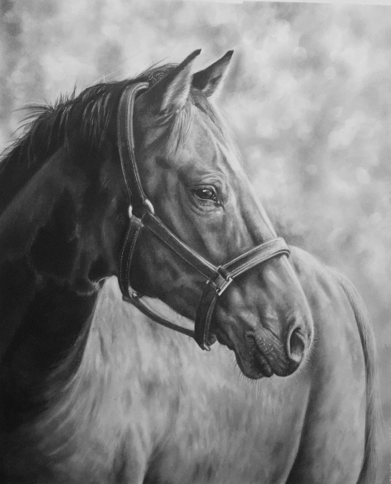 Gelding in Charcoal Print - Etsy