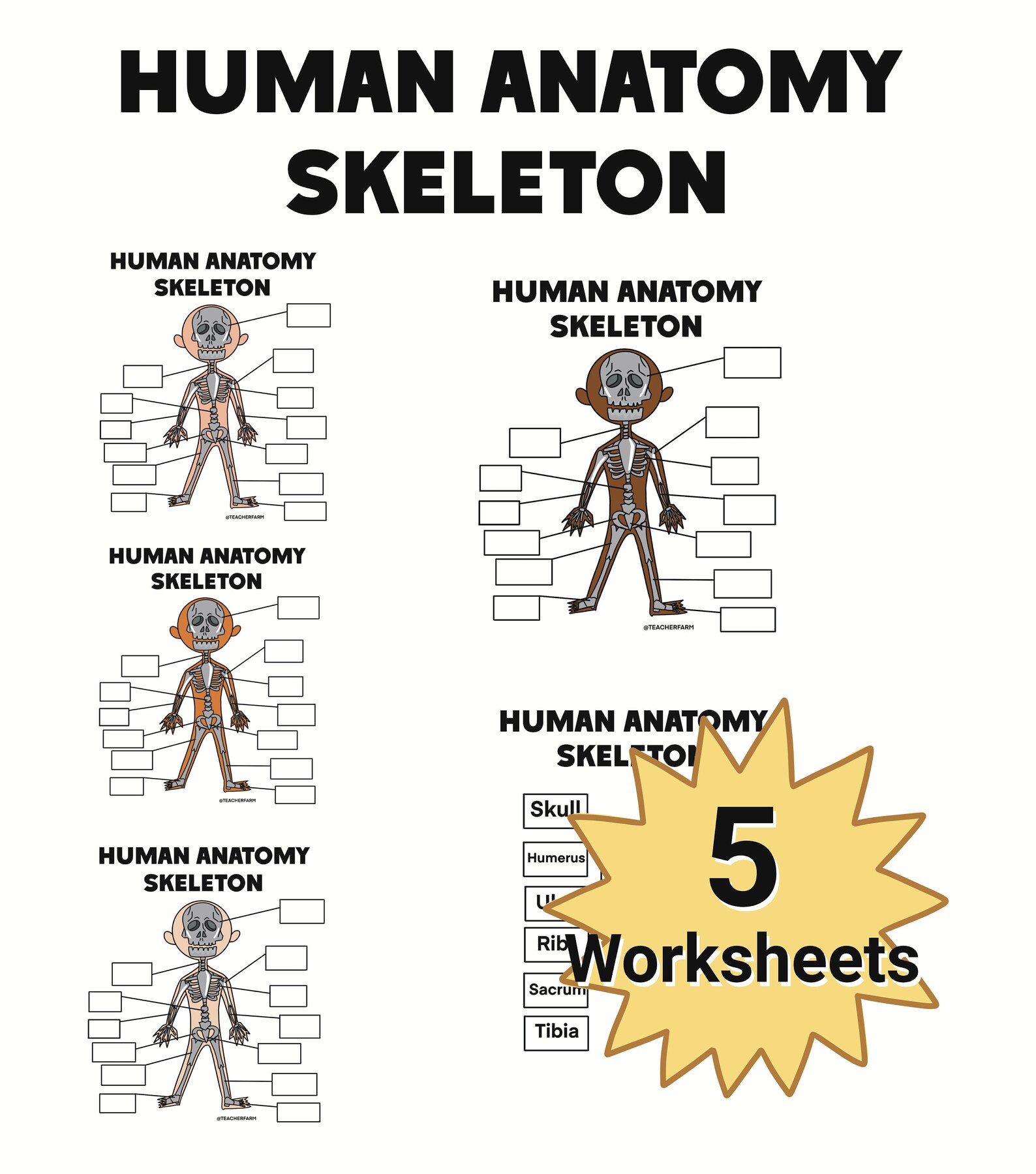 Human Anatomy Body Skeleton Printable, Educational Printables ...