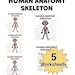 Human Anatomy Body Skeleton Printable, Educational Printables ...