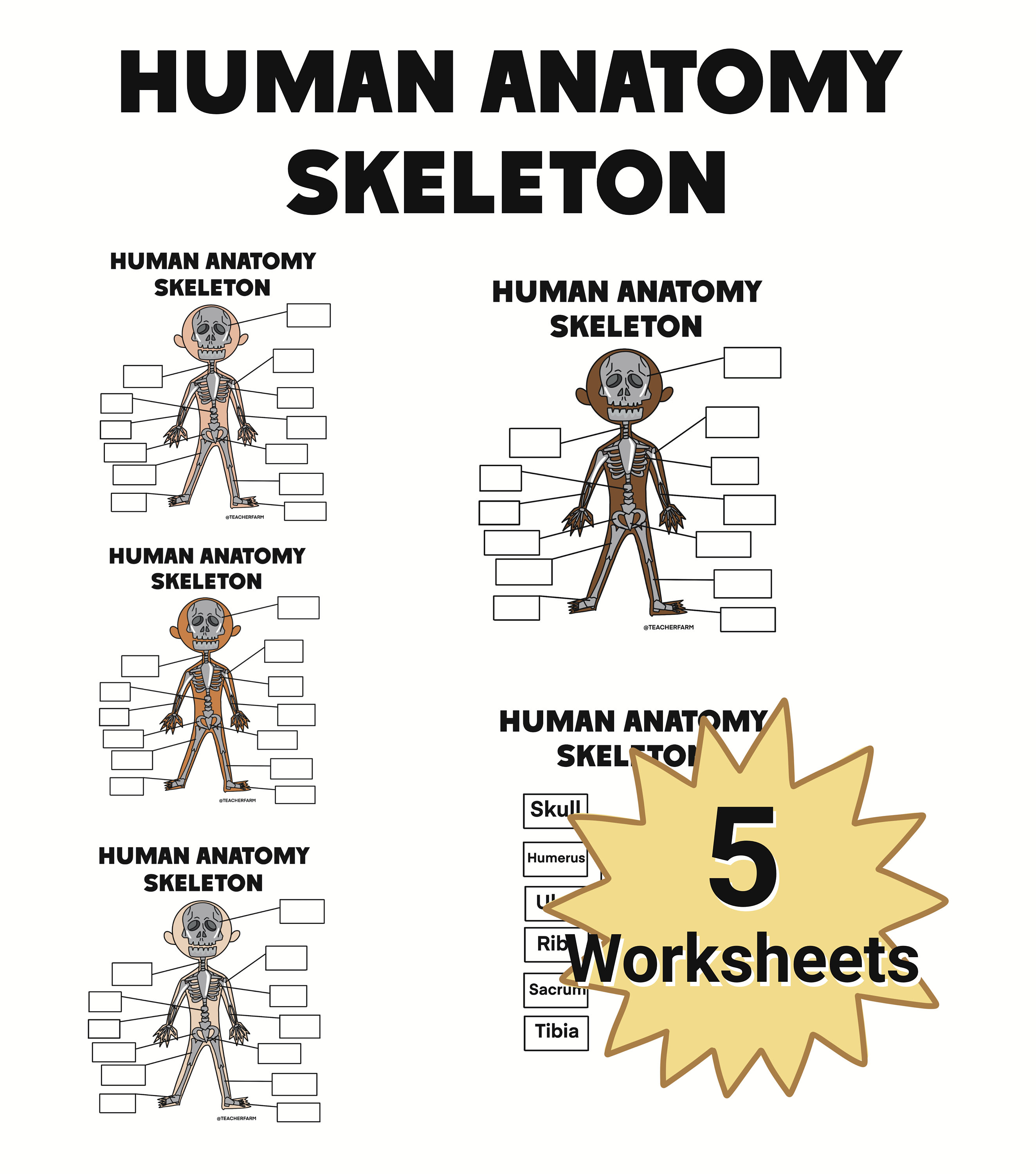 Human Anatomy Body Skeleton Printable, Educational Printables ...