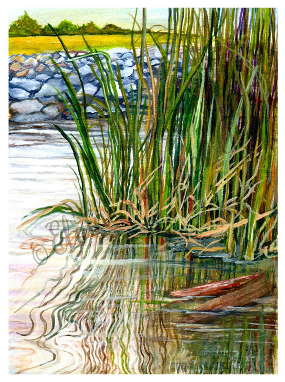 Louisiana Bayou Reflections Art Print From Original Artwork - Etsy