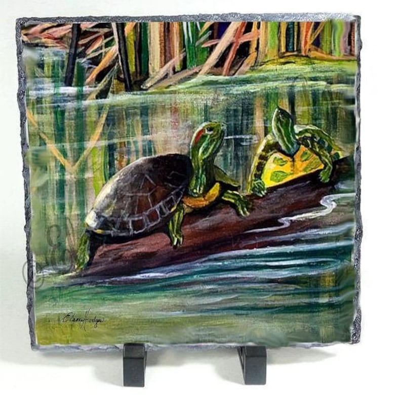 Turtles Basking in Louisiana Swamp From Original Artwork - Etsy