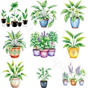 MEGA BUNDLE of 80 Plants in Pots, Botanical, House Plant, Clip Art for ...