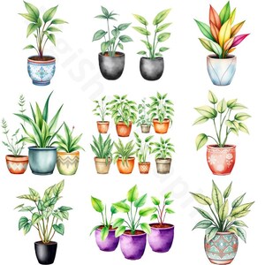 MEGA BUNDLE of 80 Plants in Pots, Botanical, House Plant, Clip Art for ...