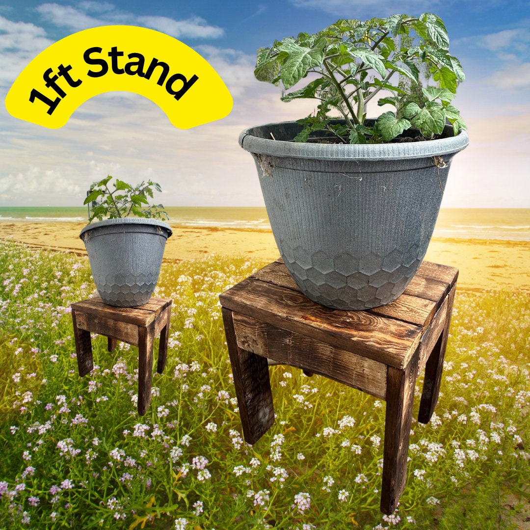 Mini Table/stand - Etsy