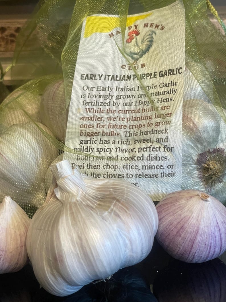 Italian Purple Garlic Bulbs - Small to Medium - Etsy