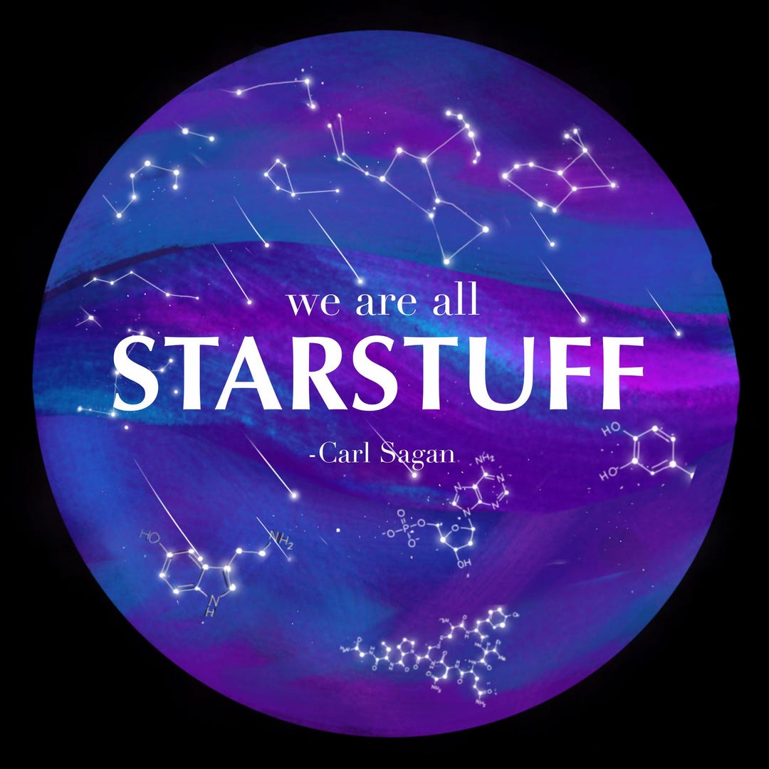 We Are All Starstuff Carl Sagan Sticker - Etsy