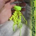 Neon Fluorescent Yellow Crochet Beach Jellyfish Keychain Silver Split ...