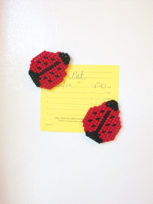 Ladybug Kitchen Set: Ladybug Coasters and Ladybug Magnets. Set of 4 ...