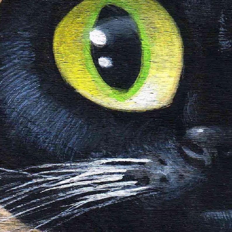 Black Cat Big Eyes Fine Art Print multiple Sizes Free | Etsy