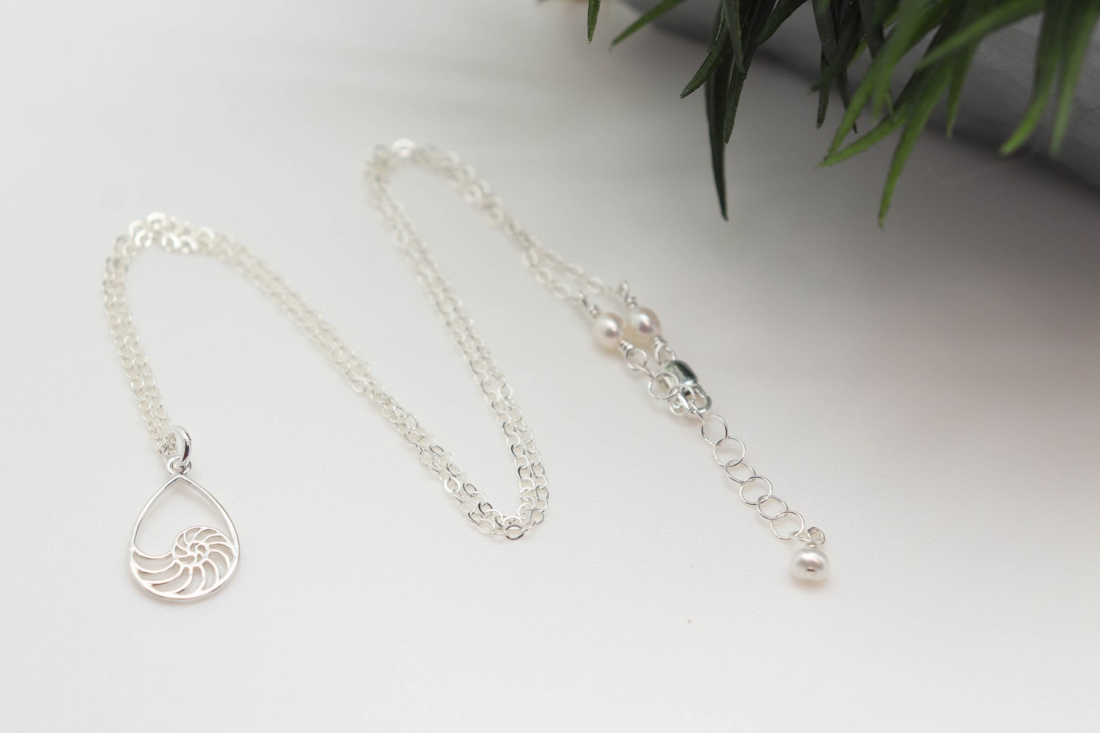 Small Nautilus Shell Sterling Silver Charm Necklace Friendship Gift ...