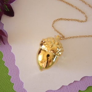 Gold Acorn Necklace, Gold Filled Chain, Real Acorn, Acorn Necklace ...