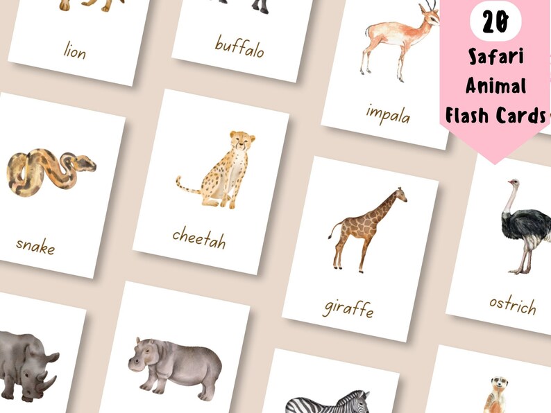 20 Savanna Animal Flashcards, Preschool Toddler Learning Resources ...