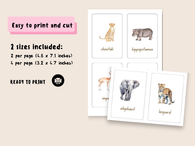 20 Savanna Animal Flashcards, Preschool Toddler Learning Resources ...