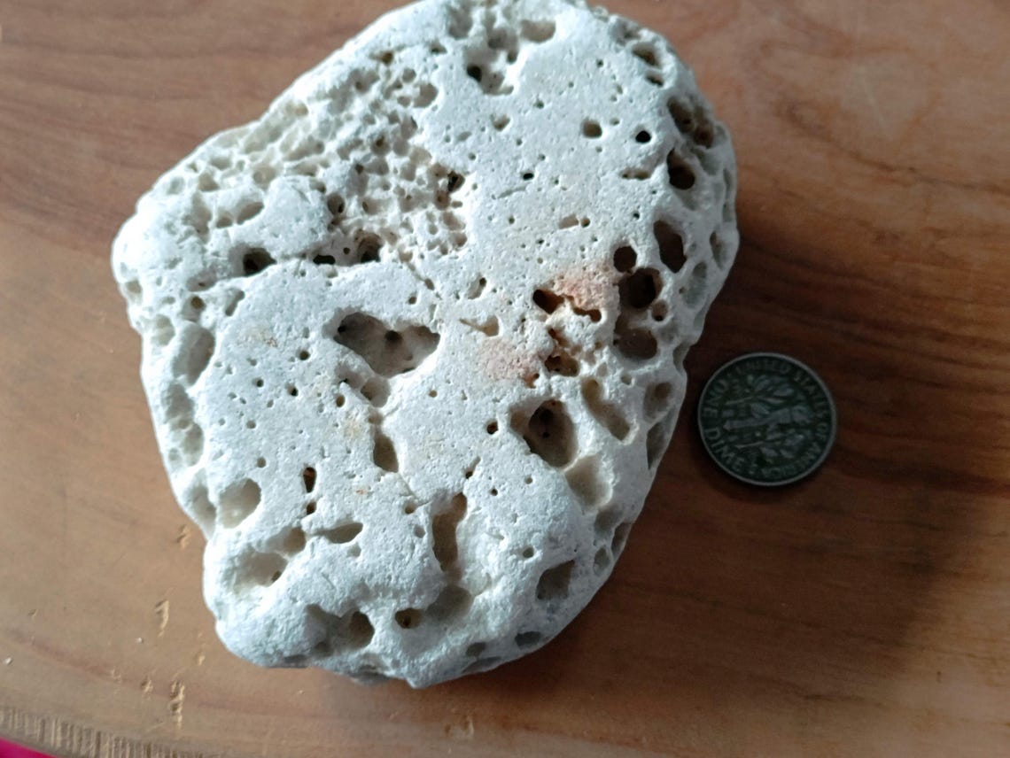Fossilized Coral Stone, Natural Greek Aquarium Terrarium Decor - Etsy