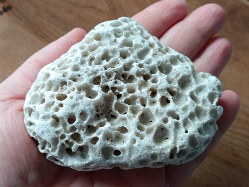Fossilized Coral Stone, Natural Greek Aquarium Terrarium Decor - Etsy