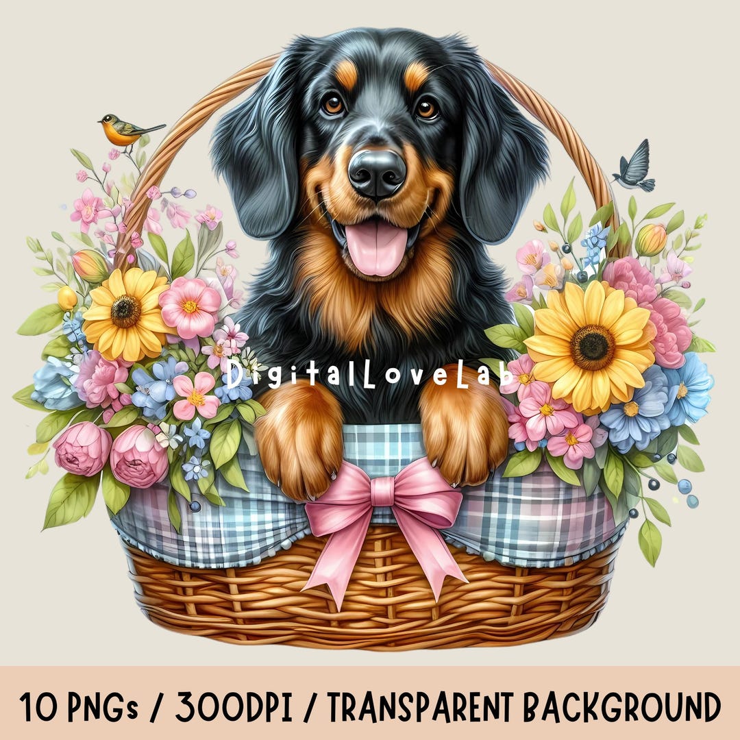Easter Dachshund Dog With Easter Eggs Set of 10 PNG Clipart Watercolor ...