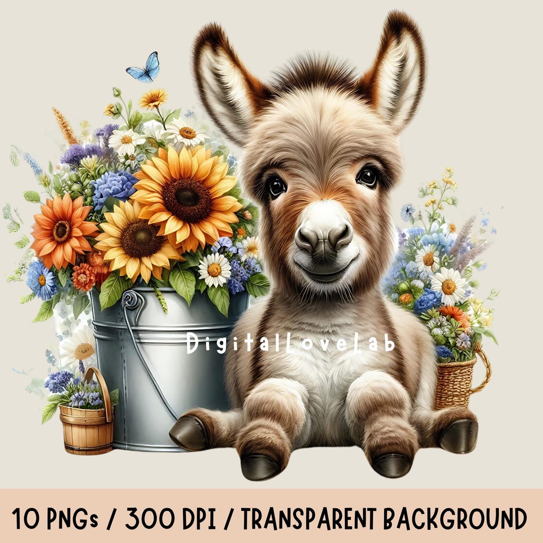 Floral Donkey Set of 10 PNG Clipart Flower Donkey Illustrations ...