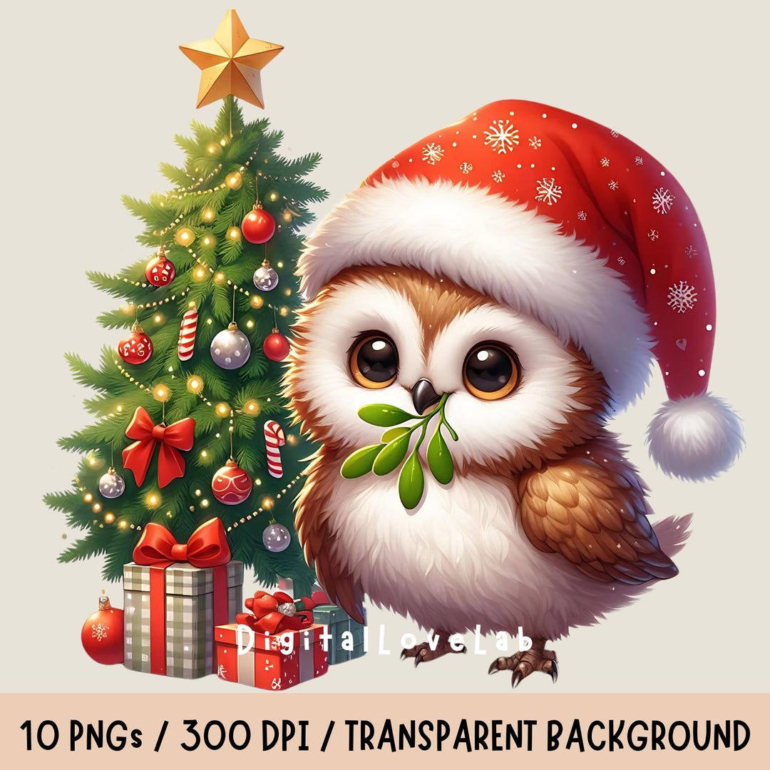 Christmas Owl Clipart PNG Set of 10 Christmas Art, Journaling ...