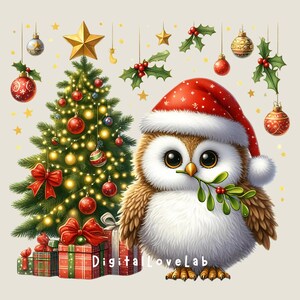 Christmas Owl Clipart PNG Set of 10 Christmas Art, Journaling ...