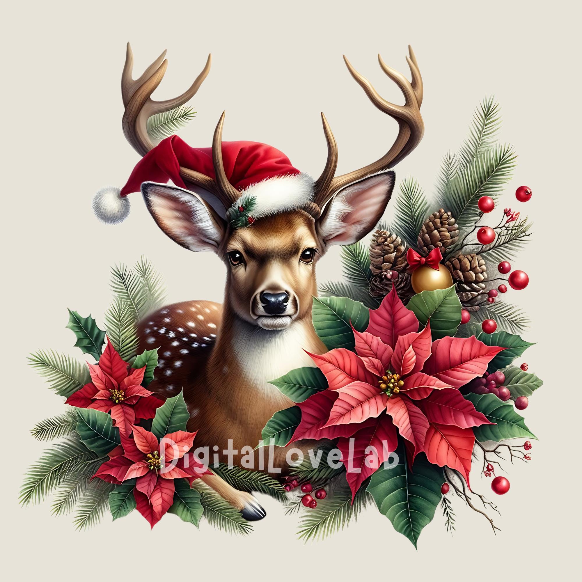 Watercolor Christmas Deer Collection Clipart, 10 PNG Cute Deer Clipart ...