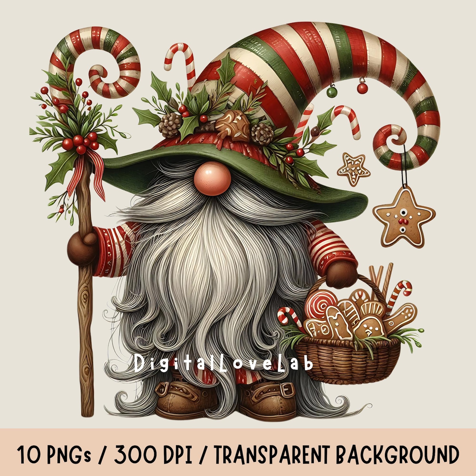 Christmas Gnome Clipart, Set of 10 PNG Cliparts, Christmas Clipart ...
