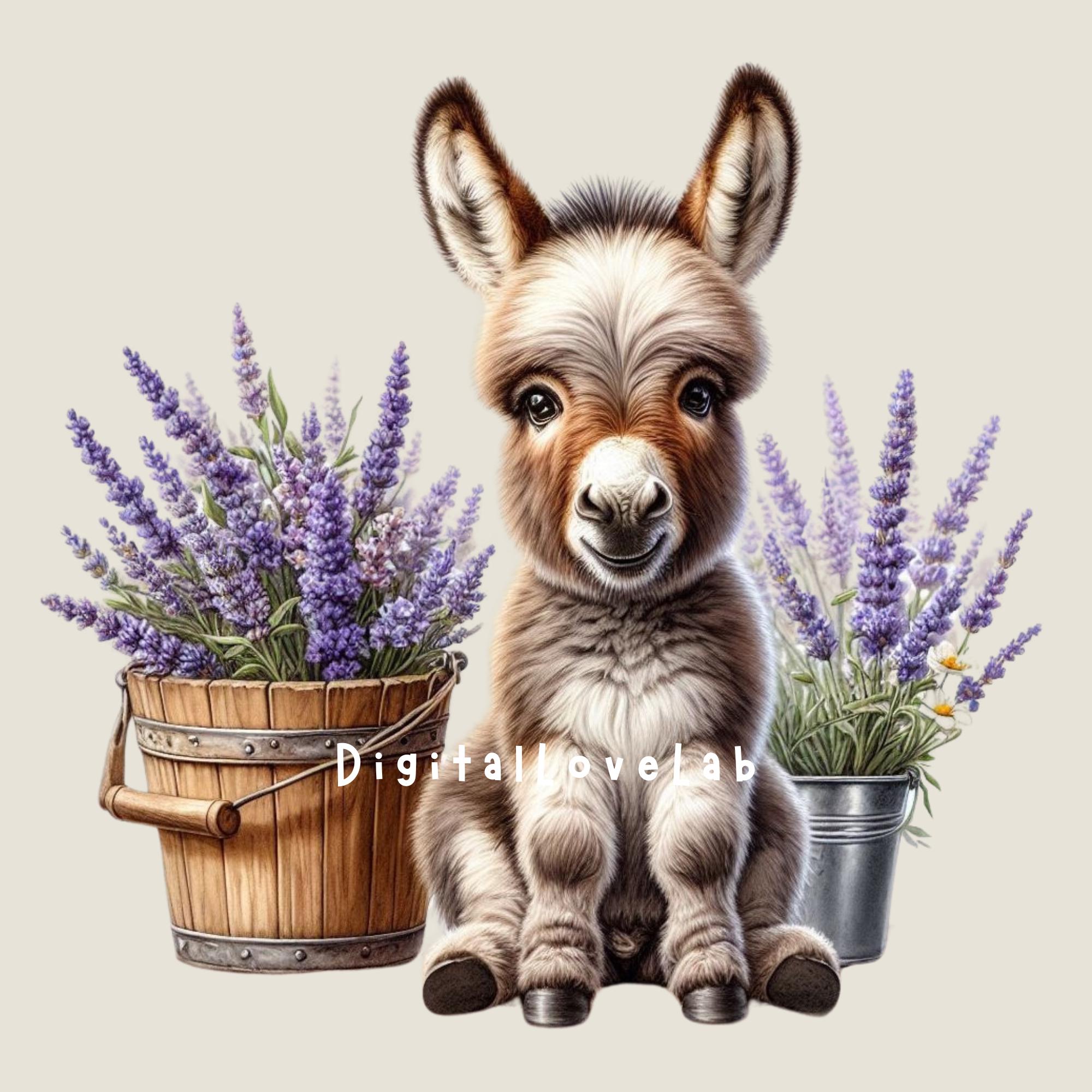 Floral Donkey Set of 10 PNG Clipart Flower Donkey Illustrations ...