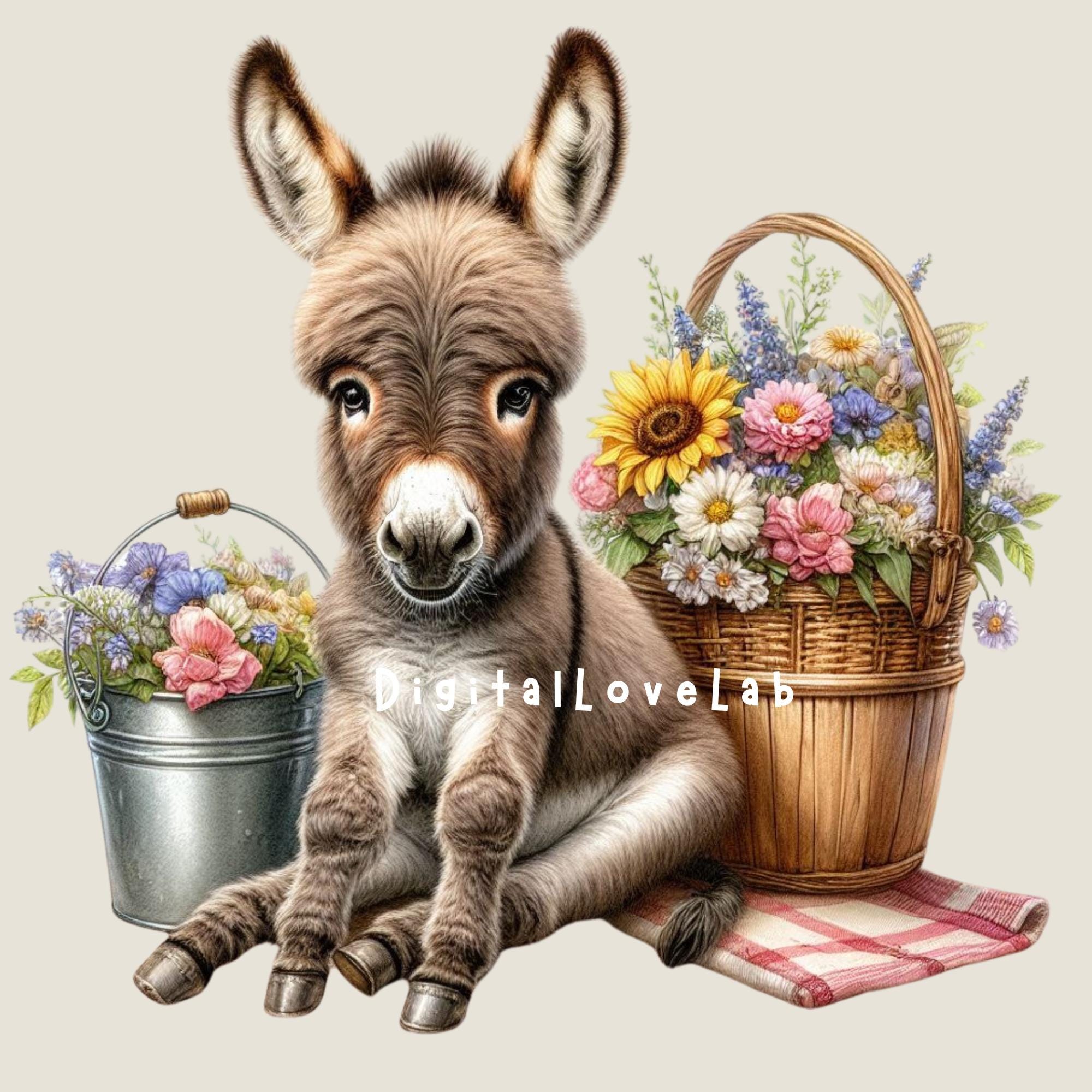Floral Donkey Set of 10 PNG Clipart Flower Donkey Illustrations ...