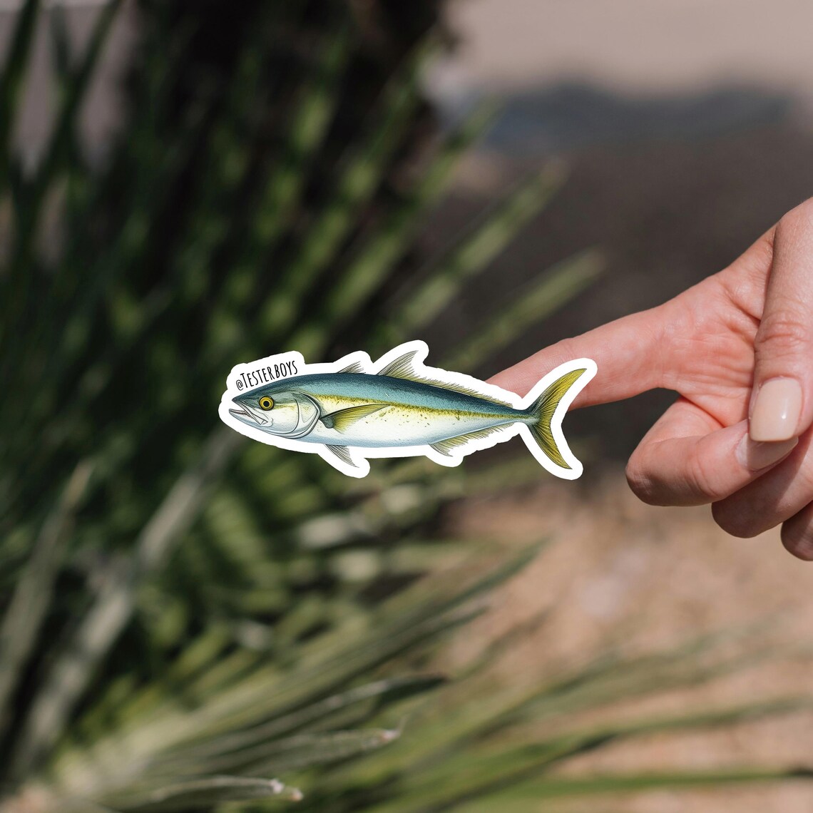 Yellowtail Kingfish Sticker - Etsy