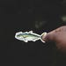 Yellowtail Kingfish Sticker - Etsy