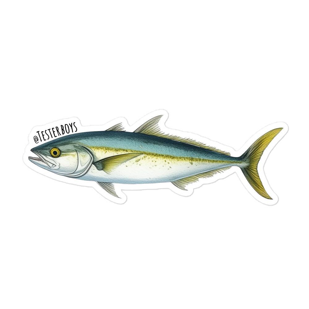 Yellowtail Kingfish Sticker - Etsy