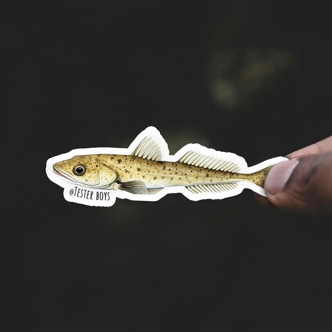 Flathead - Aussie Fishing Sticker - Etsy