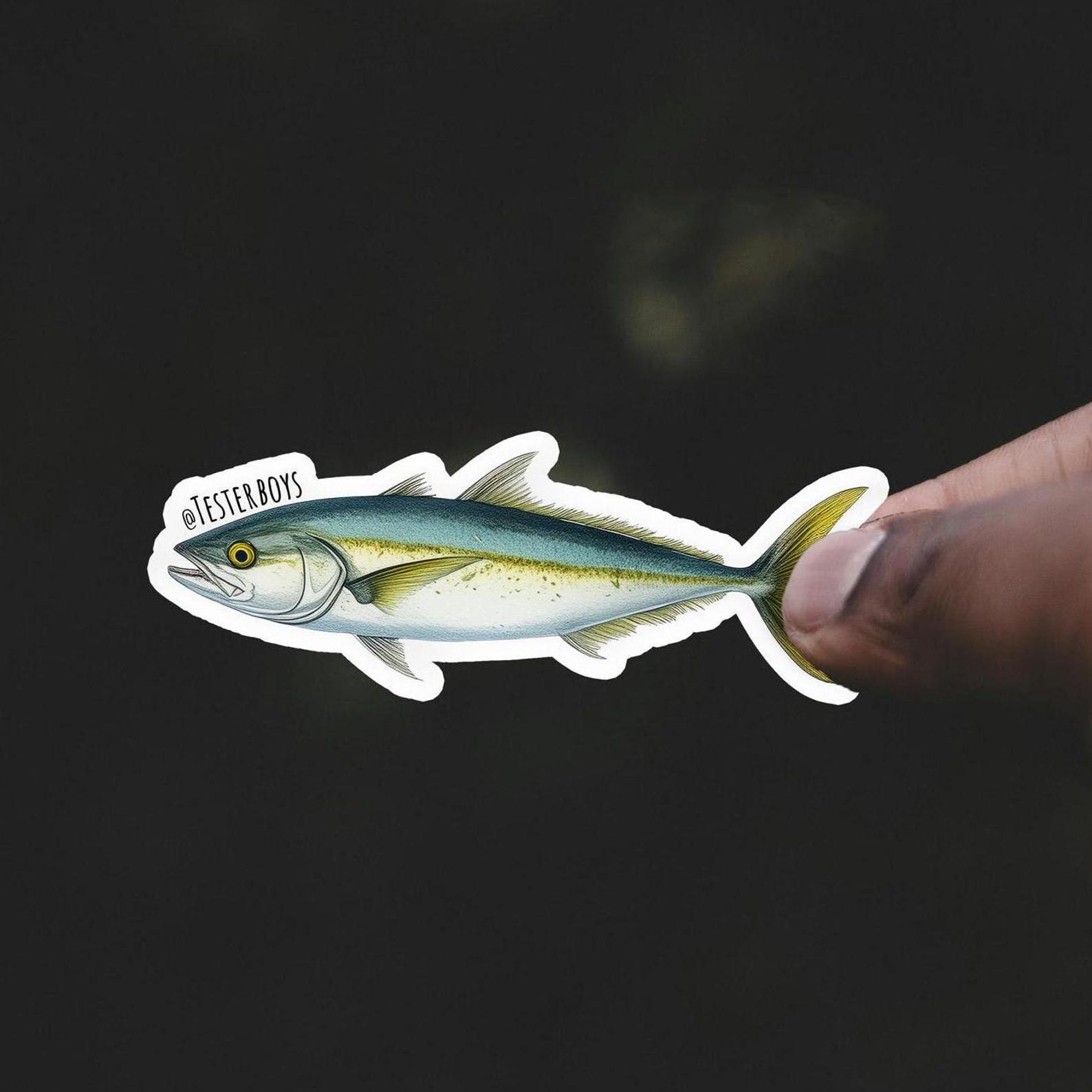 Yellowtail Kingfish Sticker - Etsy