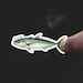 Yellowtail Kingfish Sticker - Etsy