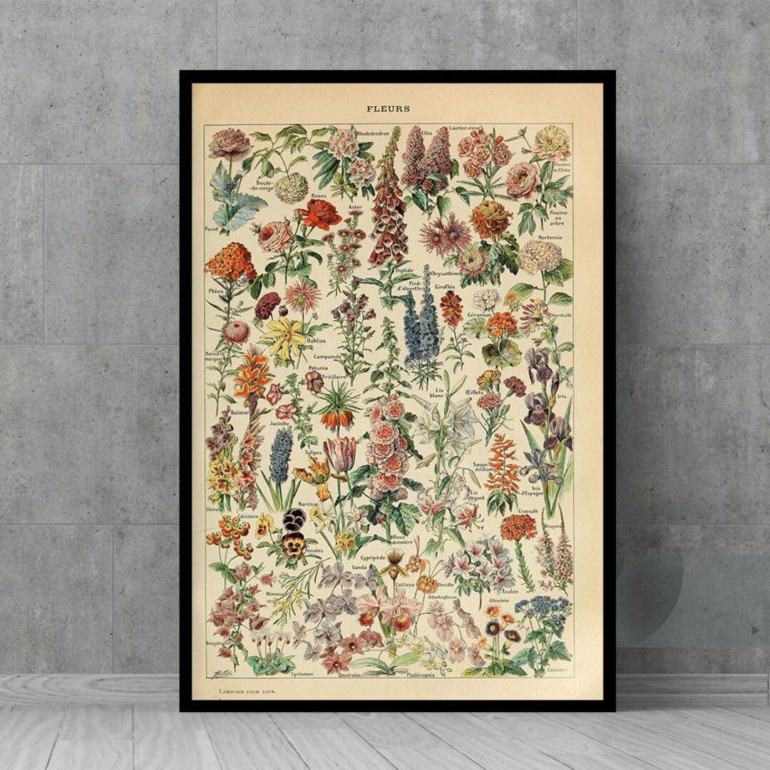 Fleurs A by Adolphe Millot Movie Poster - Wall Art - Vintage Posters ...