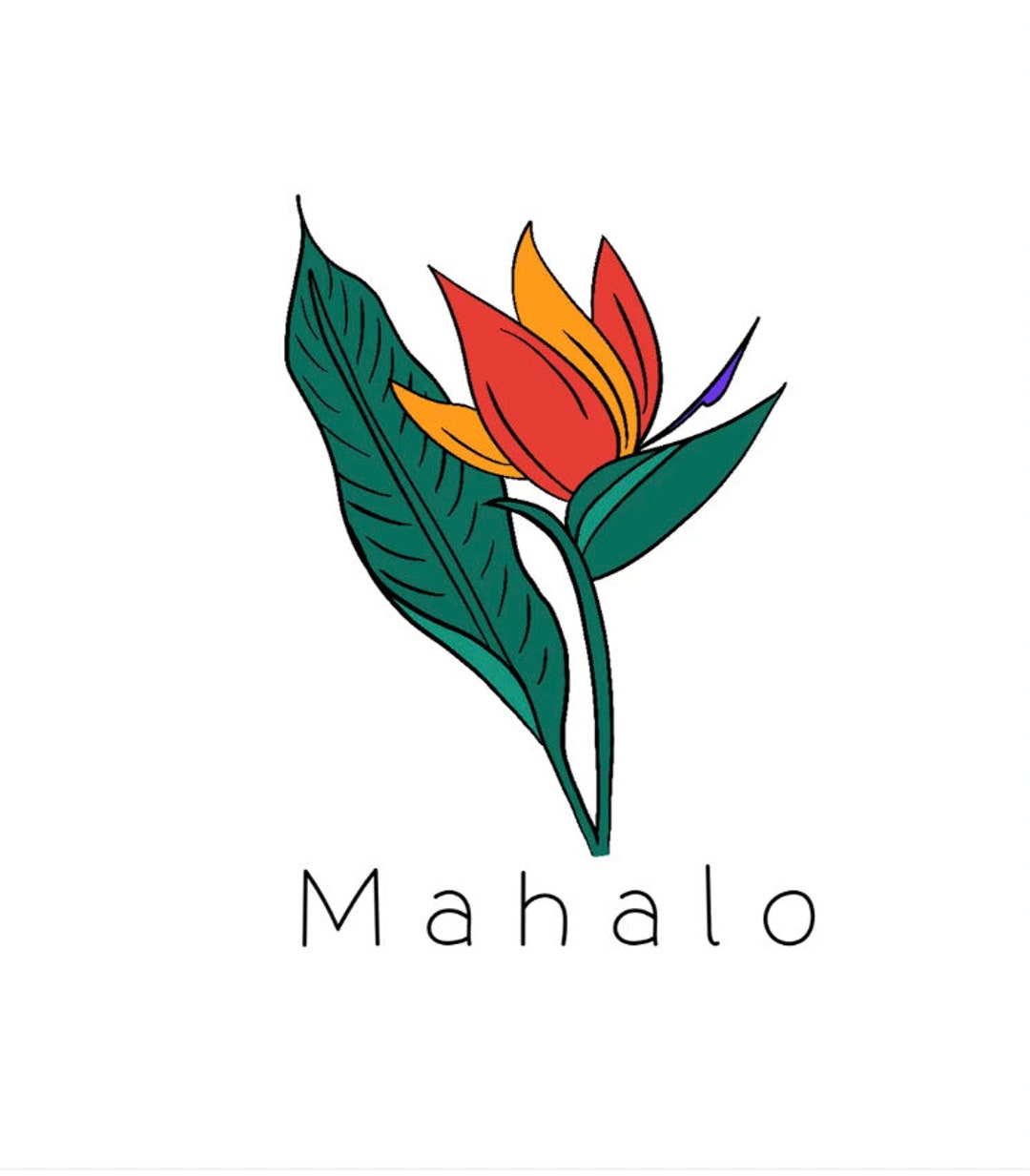 Sunset Bird of Paradise 'mahalo' Card - Etsy