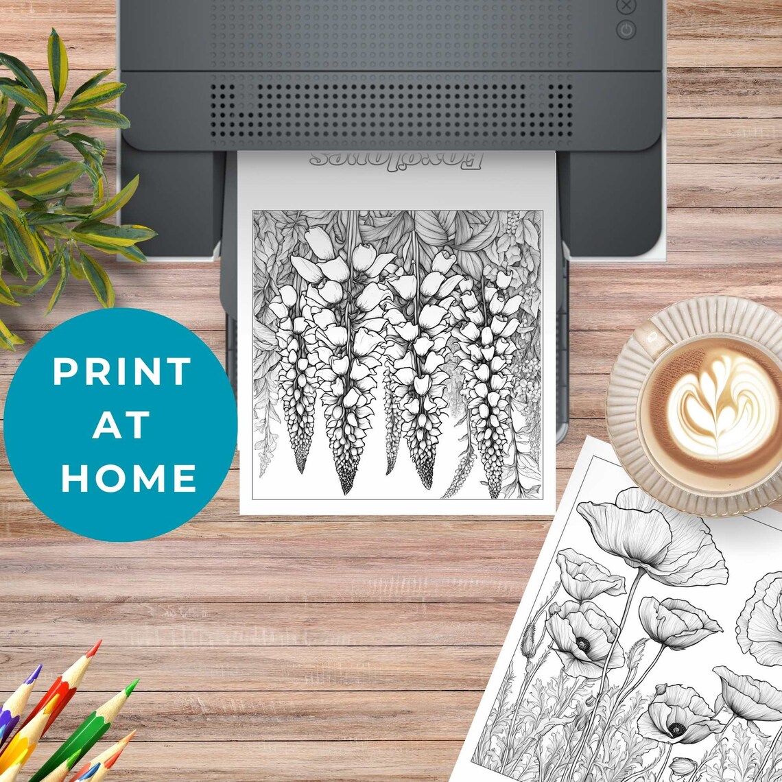 Flower Coloring Pages, 30 Printable PDF Pages for Adults and Kids ...