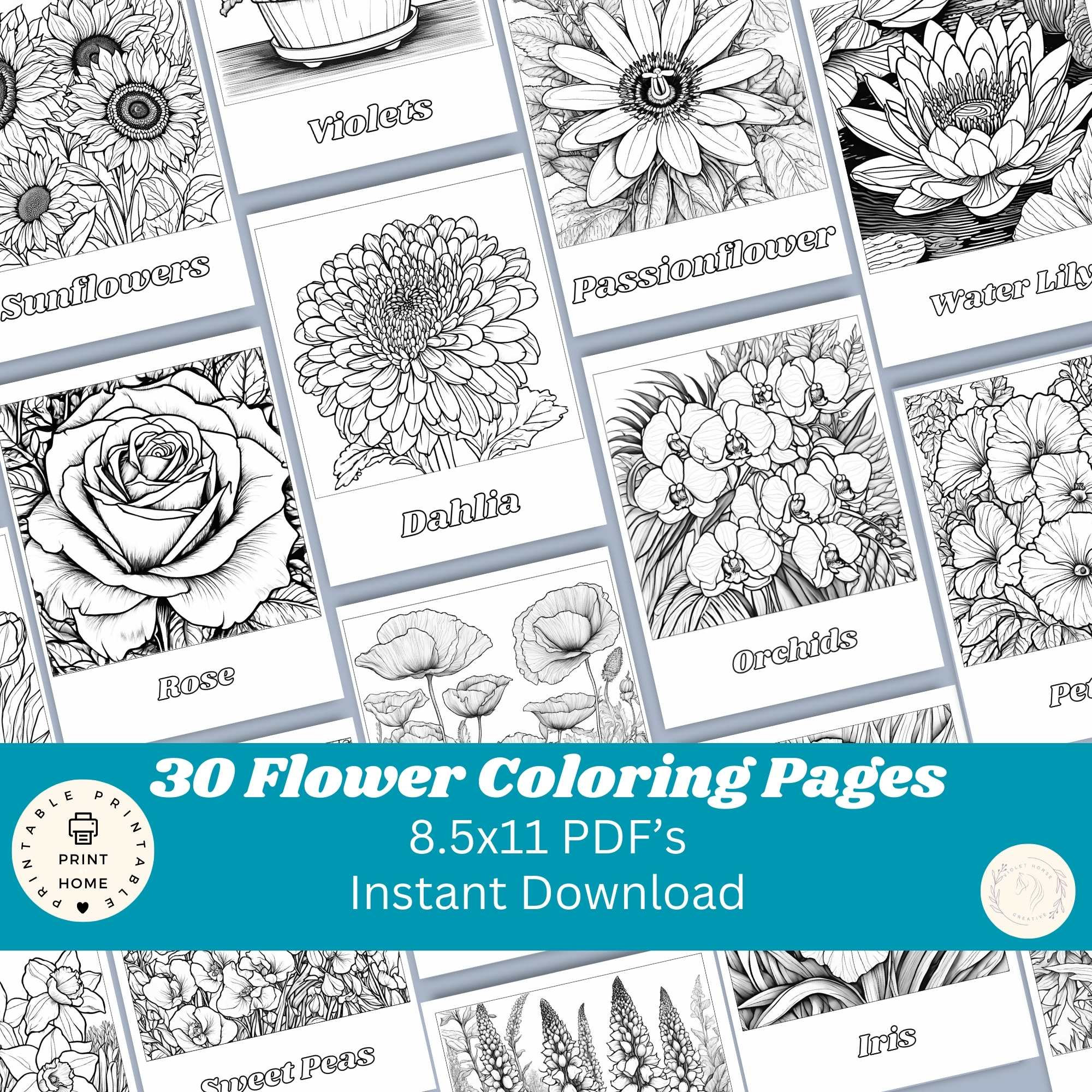 Flower Coloring Pages, 30 Printable PDF Pages for Adults and Kids ...