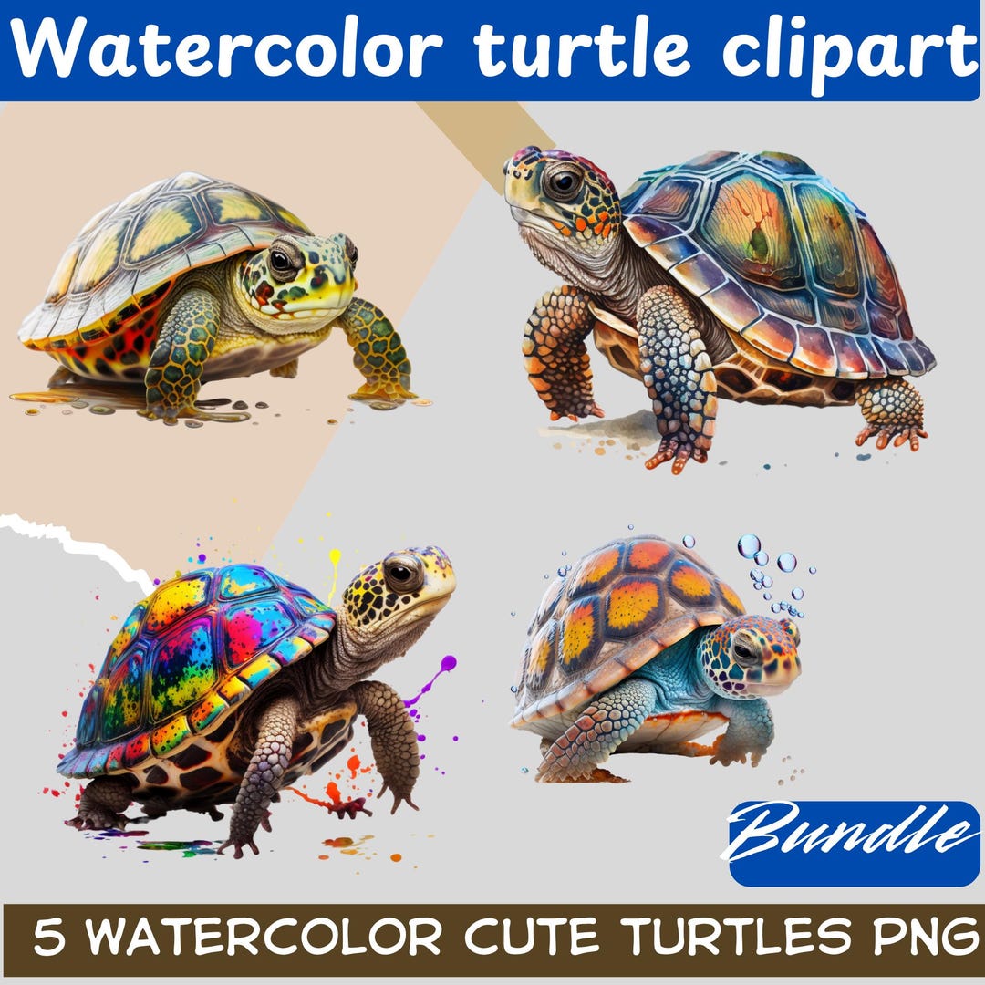 5 Watercolor Cute Turtle Sublimation Clipart Bundle Adorable Turtle ...