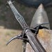Hand Forged All Steel Sword - Etsy