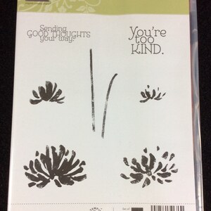Too Kind Cling Mount Rubber Stamp Set From Stampin Up, Sending Good ...