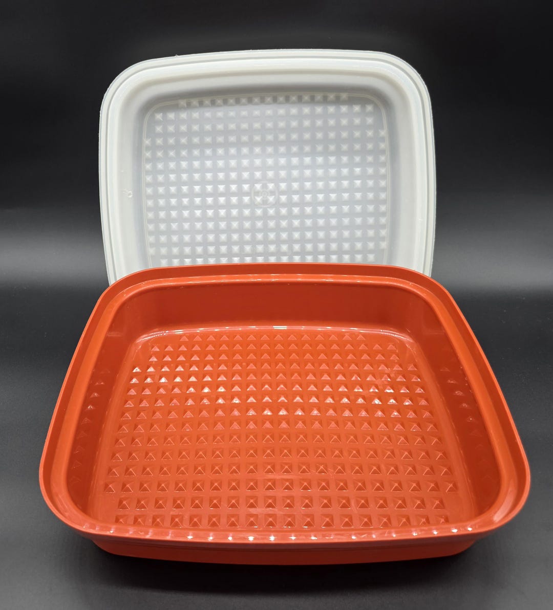 Vintage Tupperware Large Season and Serve, Meat Marinade, 1294, Paprika ...