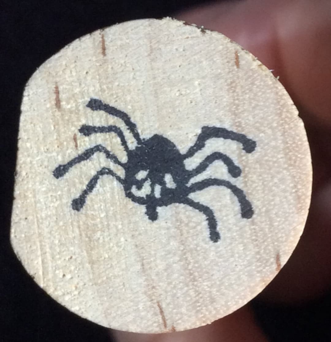 Spider Wood Mounted Rubber Stamp From Judith, Insect, Garden, Gardening ...