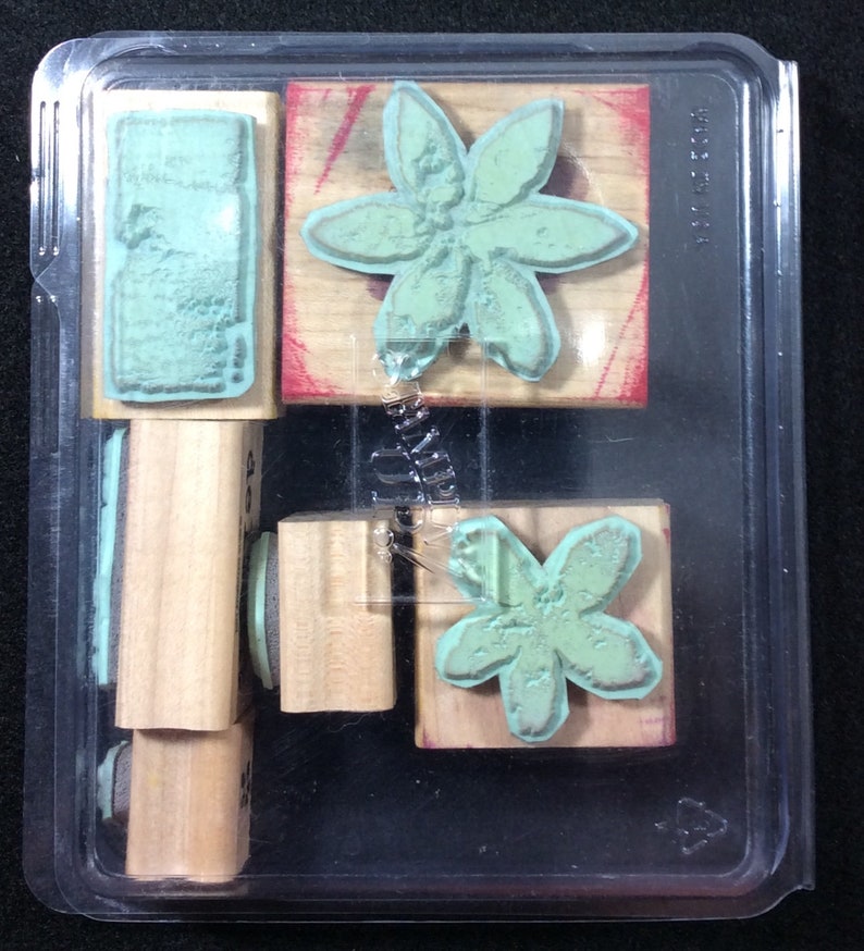 Paint Prints Wood Mounted Rubber Stamp Set From Stampin up Floral ...