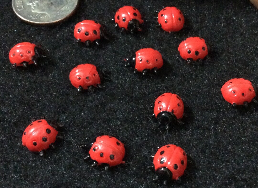 Twelve Tiny 3/8 Inch Little Plastic Miniature Lady Bugs, Doll House ...