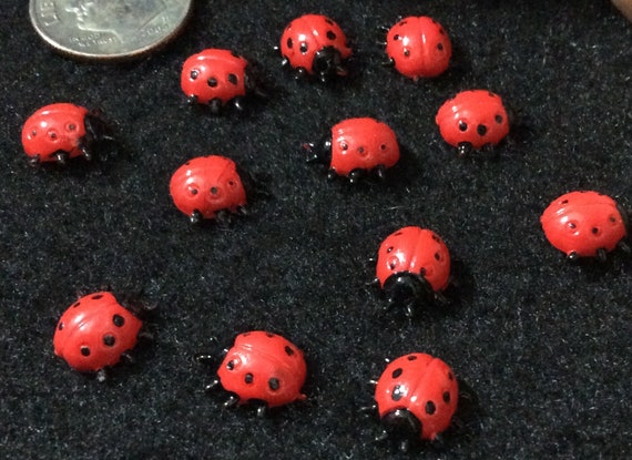 Twelve Tiny 3/8 Inch Little Plastic Miniature Lady Bugs Doll | Etsy