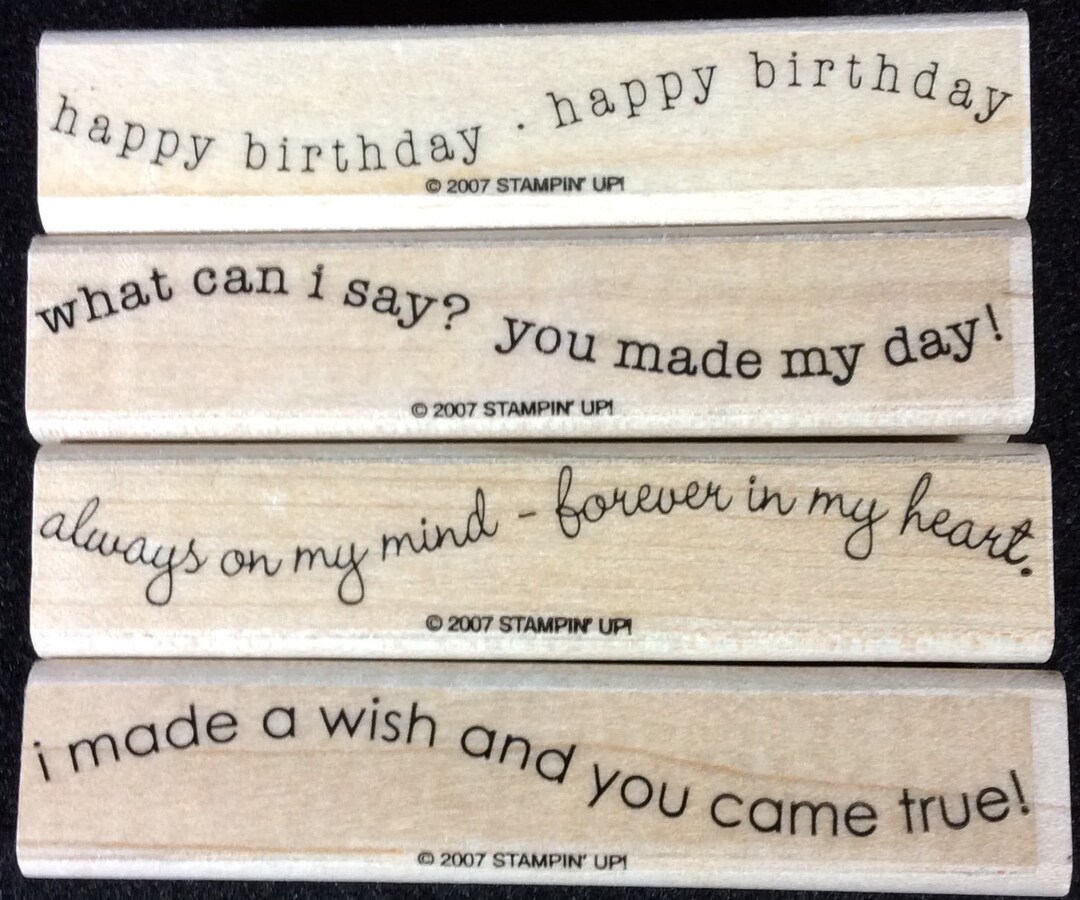 Stem Sayings Stamp Set From Stampin Up, Happy Birthday, What Can I Say ...