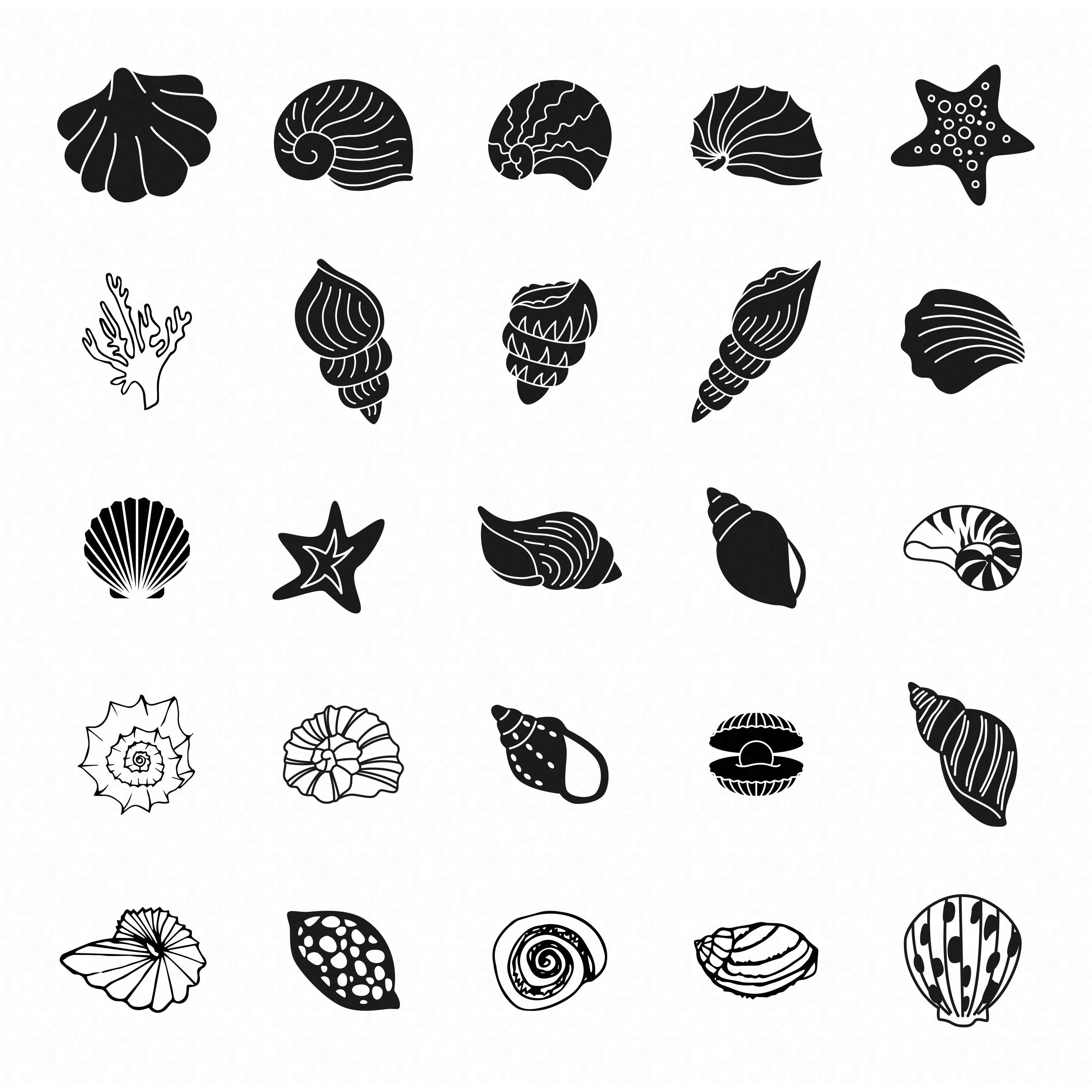 Seashell Svg, Seashell Clipart, Seashell PNG, Seashell Cut File, Sea ...