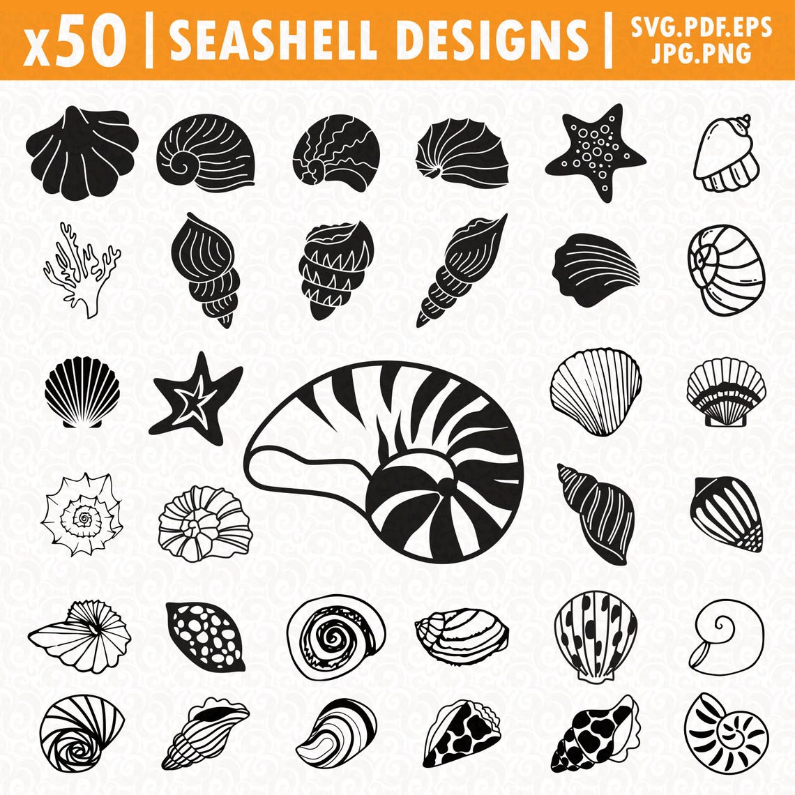 Seashell Svg, Seashell Clipart, Seashell PNG, Seashell Cut File, Sea ...