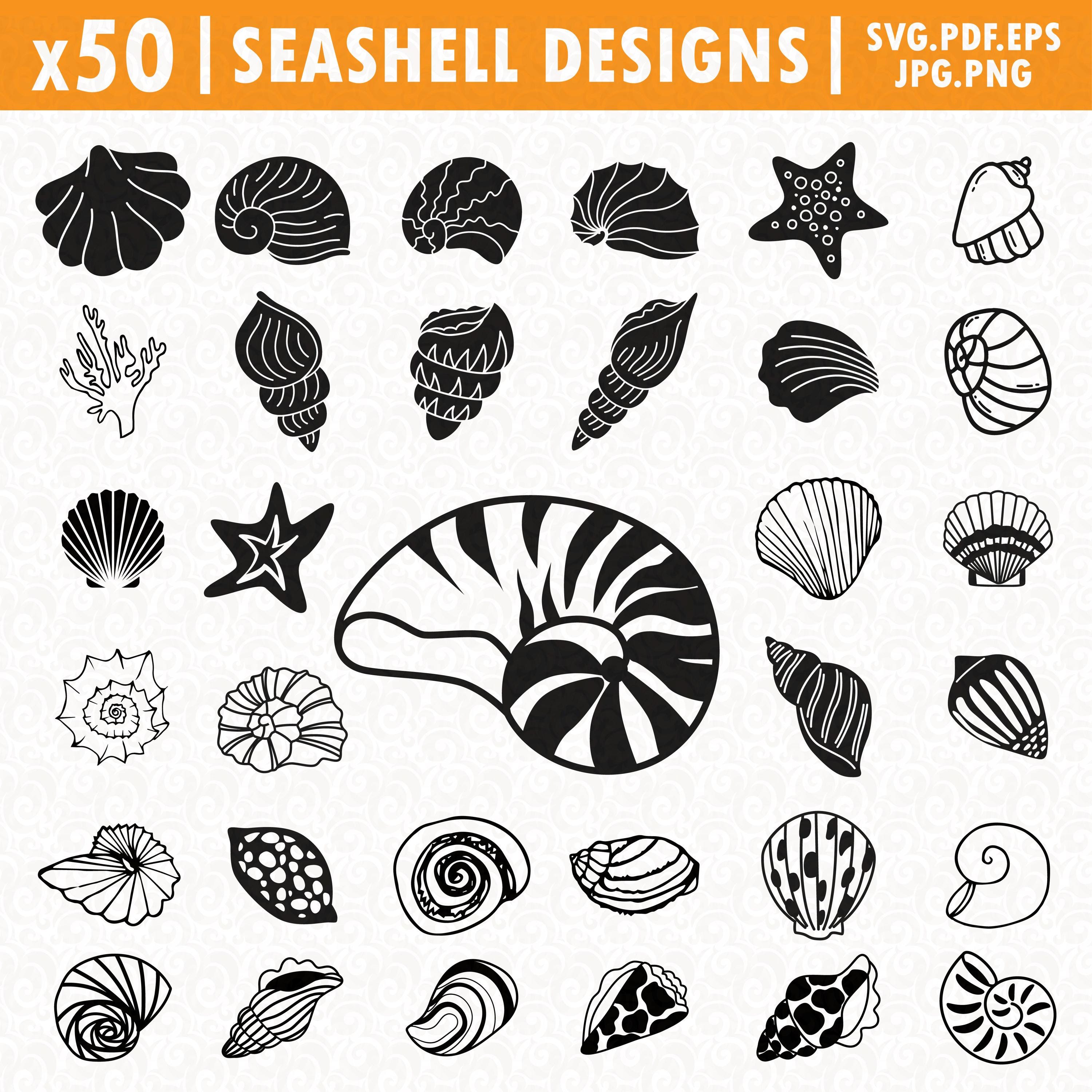 Seashell Svg, Seashell Clipart, Seashell PNG, Seashell Cut File, Sea ...